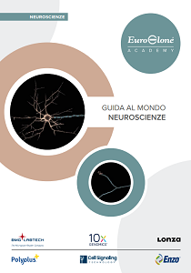 Home | Euroclone S.p.A.