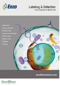 Home | Euroclone S.p.A.