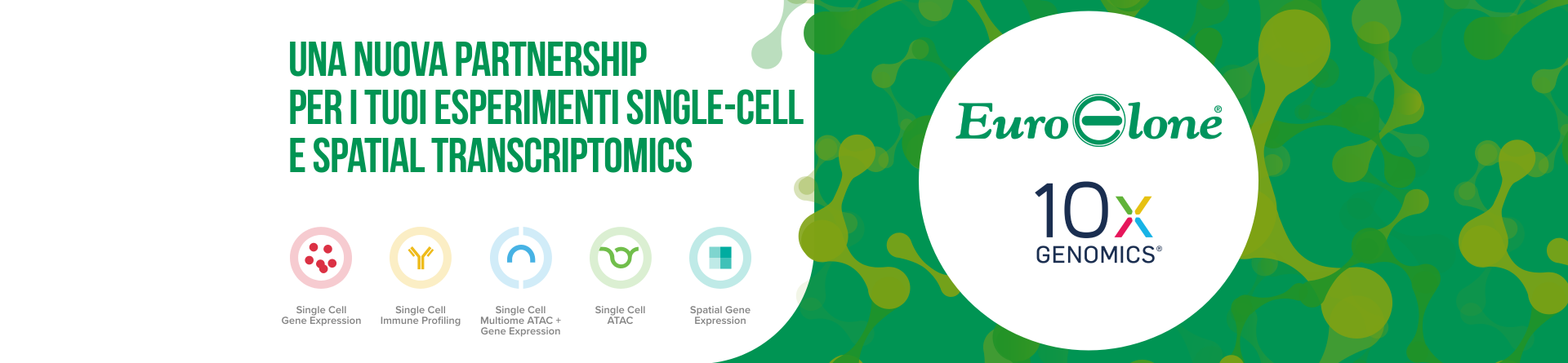 Home | Euroclone S.p.A.