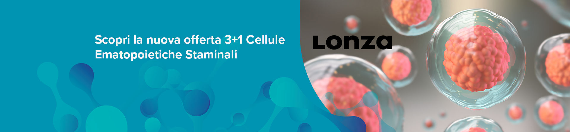 Home | Euroclone S.p.A.